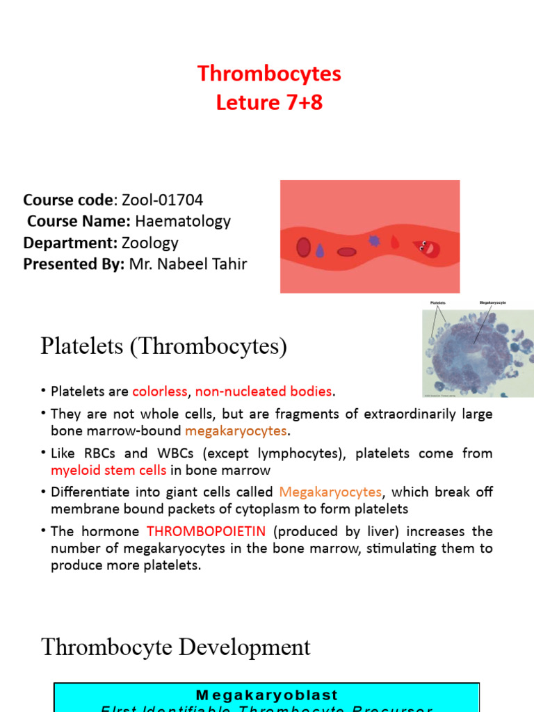 haematology Lecture 7+8 | PDF | Coagulation | Platelet