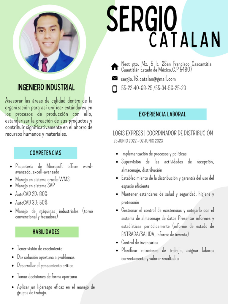 Sergio Catalan-Cv 2023 | PDF