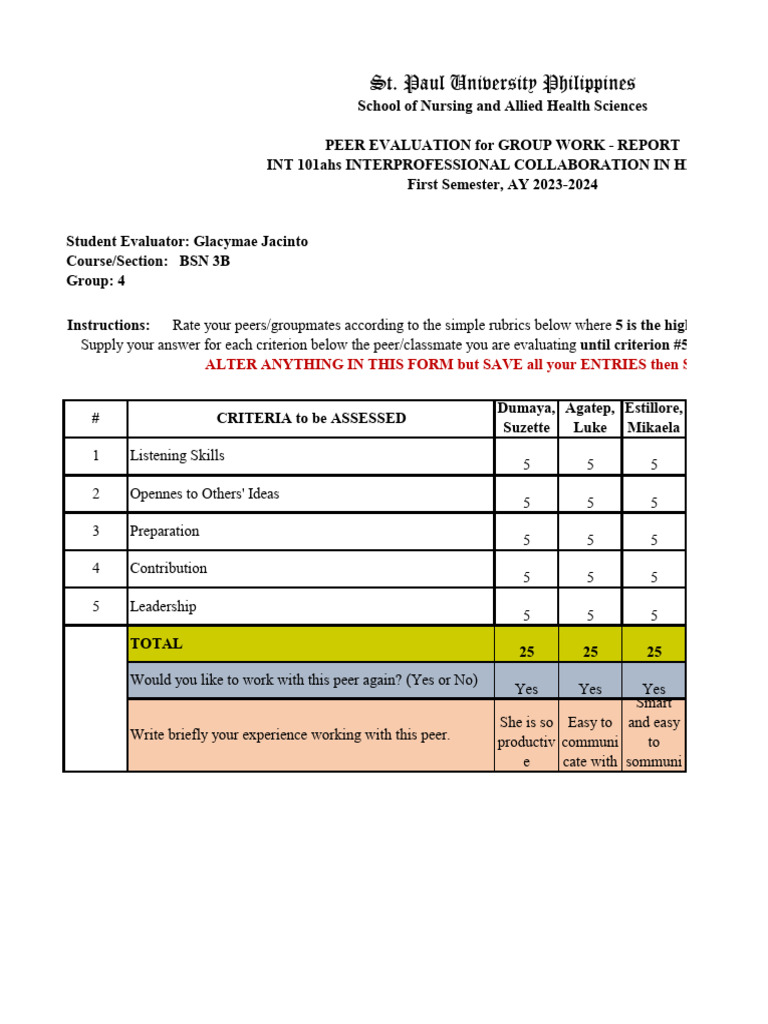 IPC Peer Eval - REPORT - BSN-3B | PDF | Nursing | Health Care