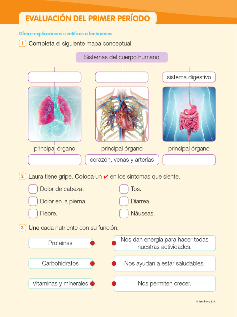 Cuaderno de Actividades Naturales | PDF
