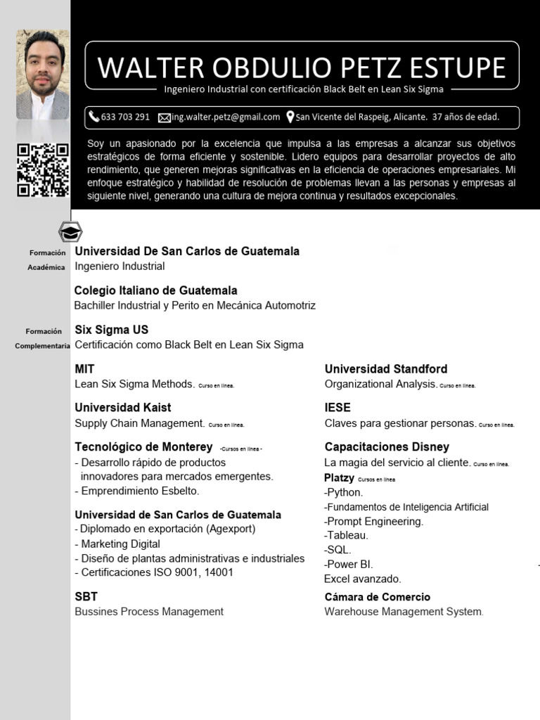 CV Walter Petz | PDF | Logística | Business