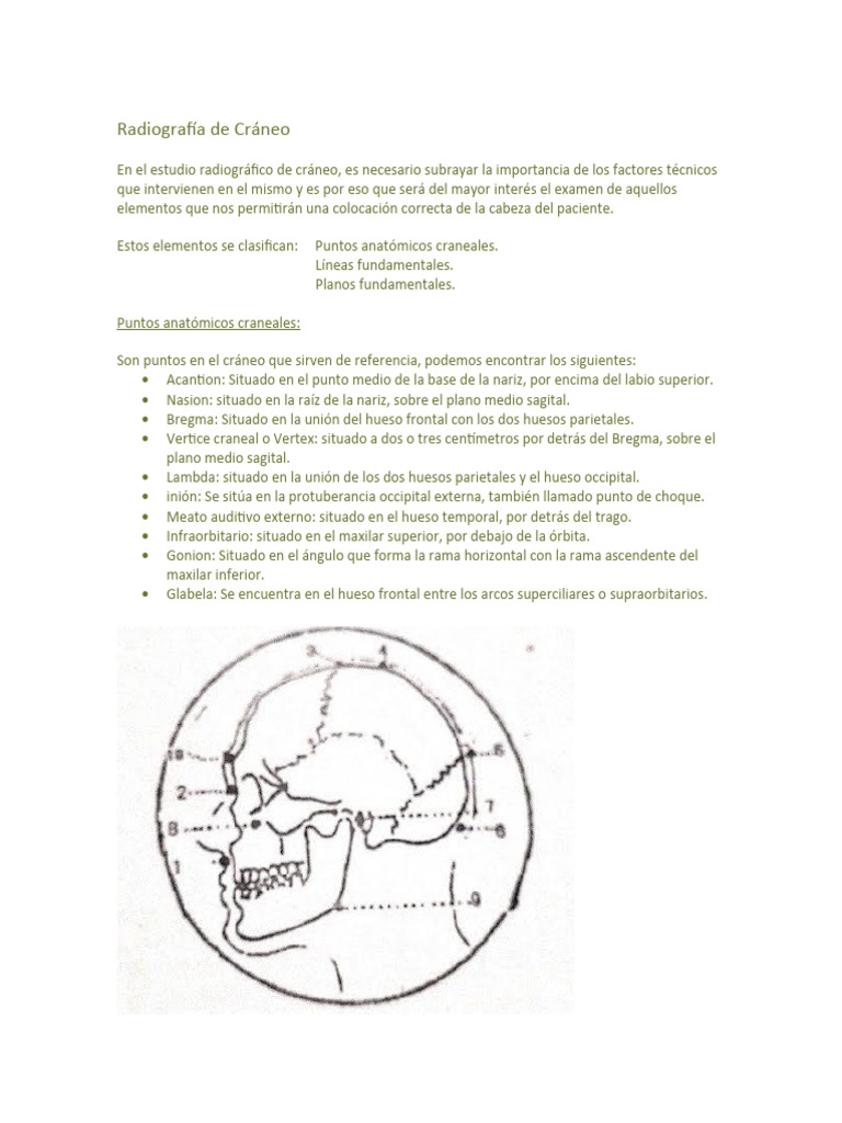 Puntos Anatomicos Craneales | PDF