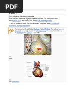 Heart Diagram Gcse Unlabelled Printable - Google Search | PDF