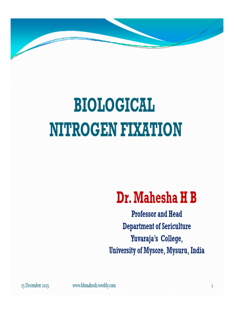 Biological Nitrogen Fixation | PDF | Nitrogen | Biology