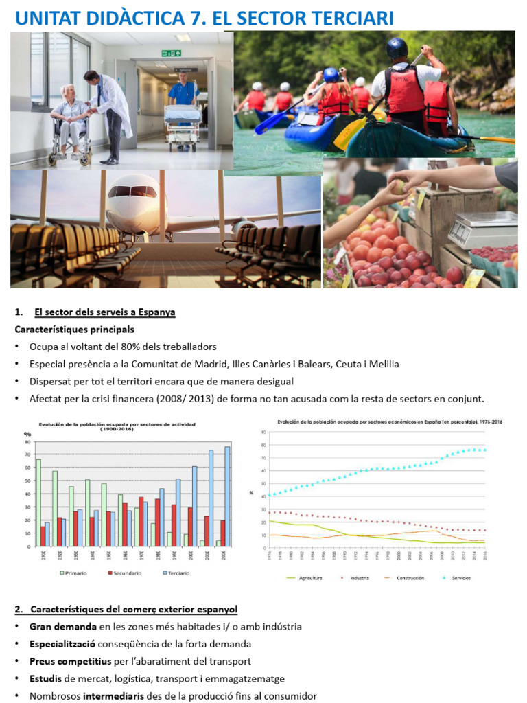 UD7. El Sector Terciari | PDF