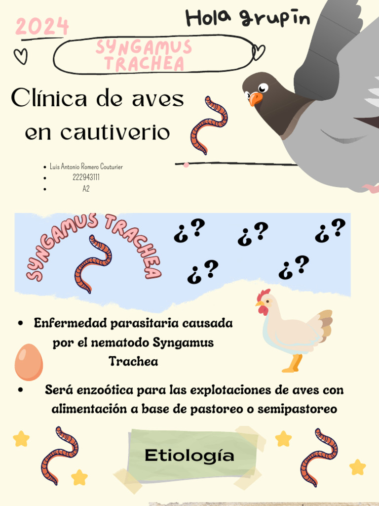 Enfermedad por Syngamus trachea en aves | PDF
