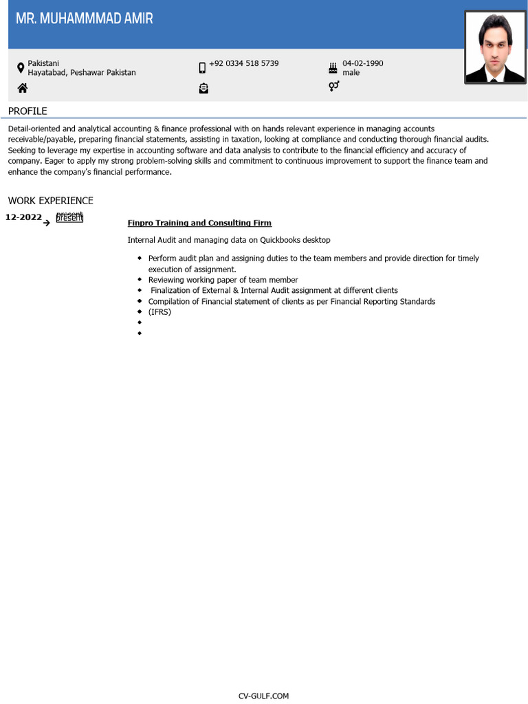 Muhammad Amir CV | PDF | Quick Books | Audit