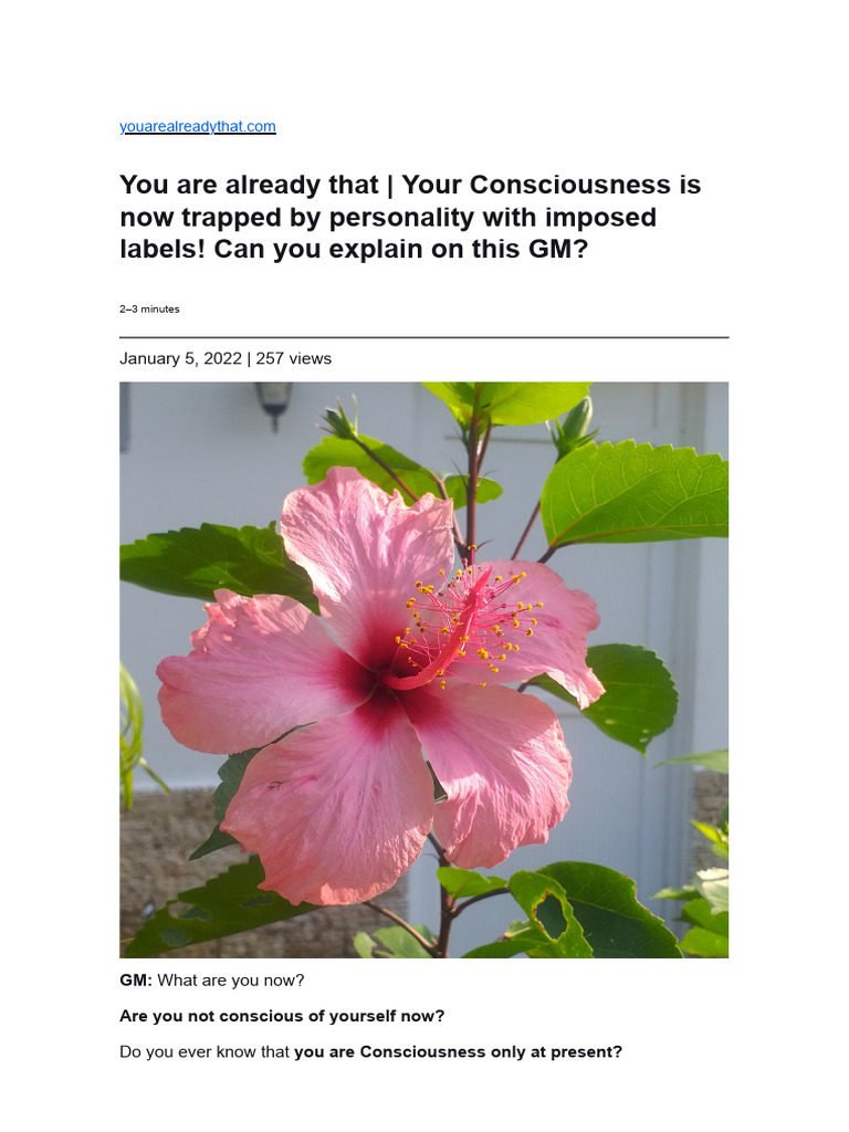 Your Consciousness Is Now Trapped by Personality With Imposed Labels | PDF