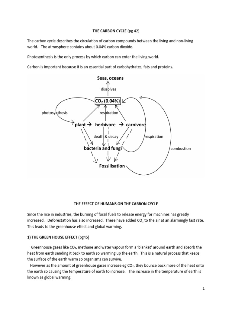 E) THE CARBON, NITROGEN CYCLE | PDF | Soil | Nitrogen