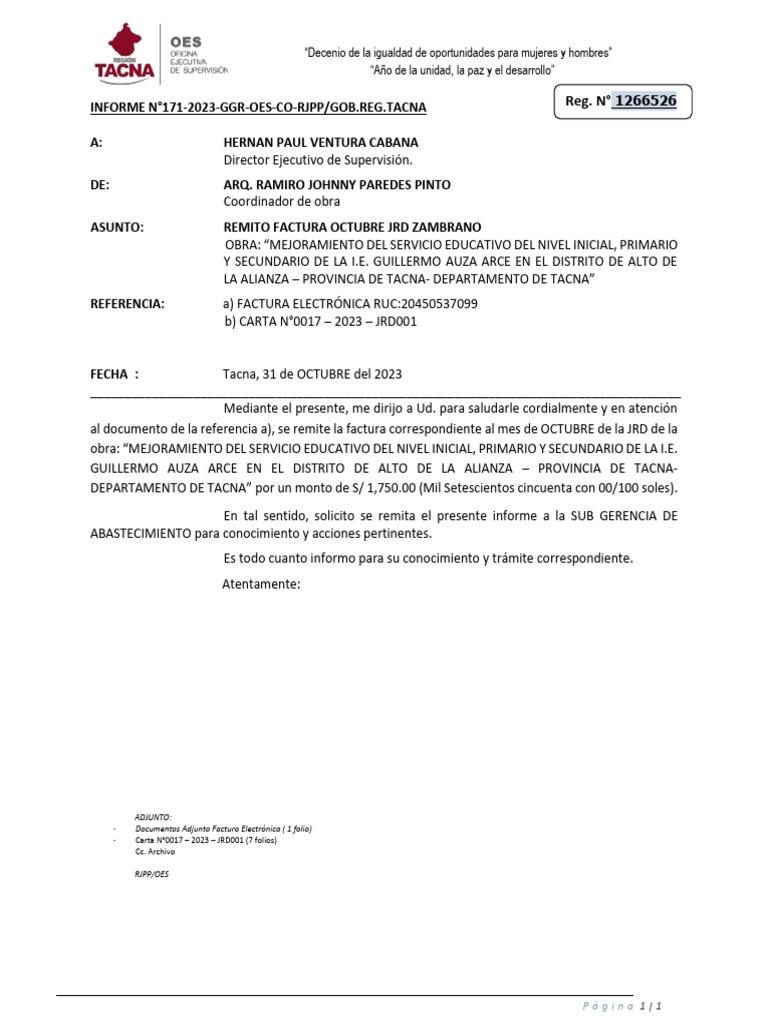 Informe N°171 Remito Factura Octubre JRD | PDF