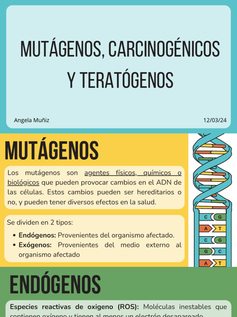 Mutagenos, Carcinogenicos y Teratogenos | PDF Mutagenos, Carcinogenicos y Teratogenos | PDF