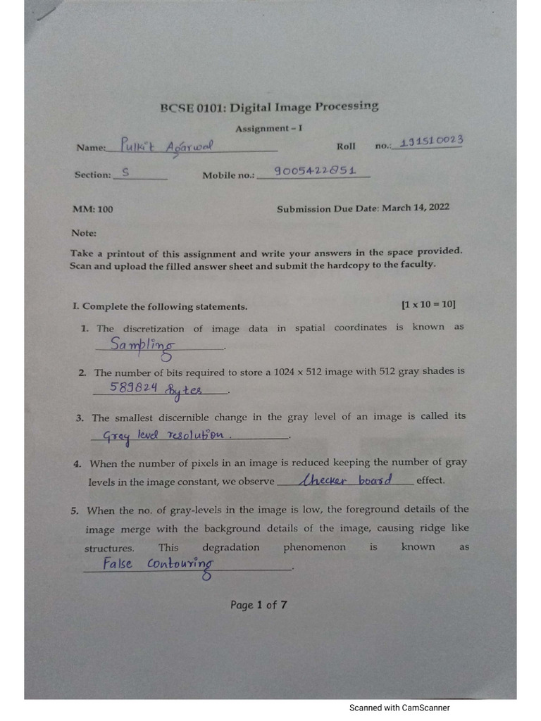 Dip Assignment | PDF