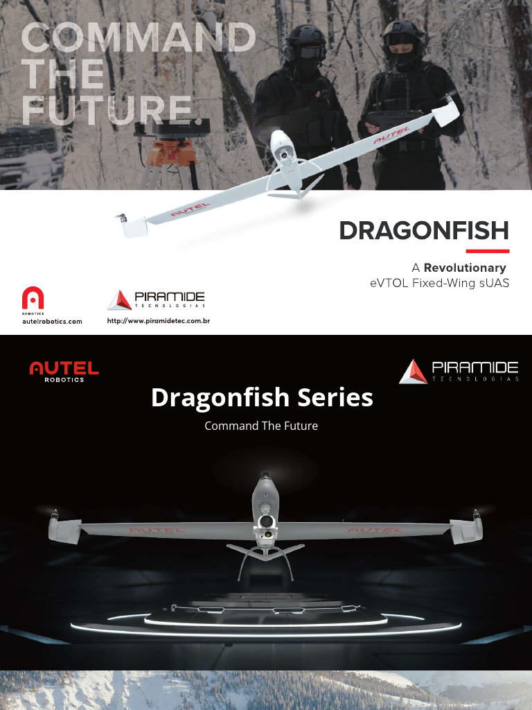 DATASHEET - Dragonfish | PDF | Pixel | Radar