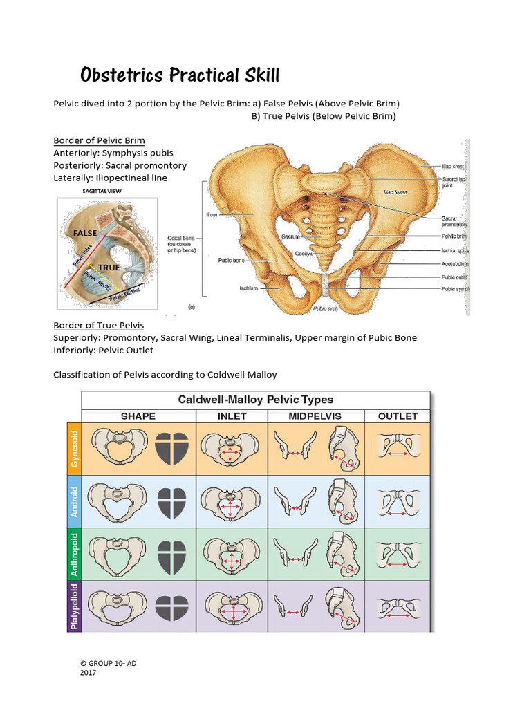 Obstetrics Practical Skill | PDF | Pelvis | Anatomy