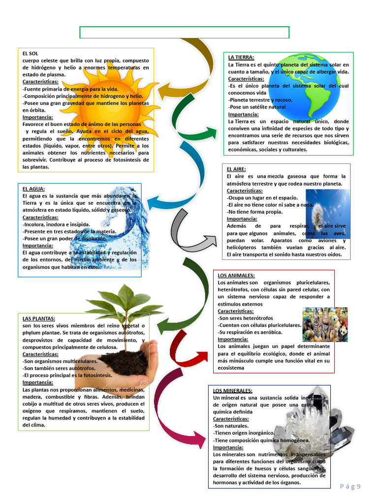 Rafa 2024 | PDF | Plantas | Tierra