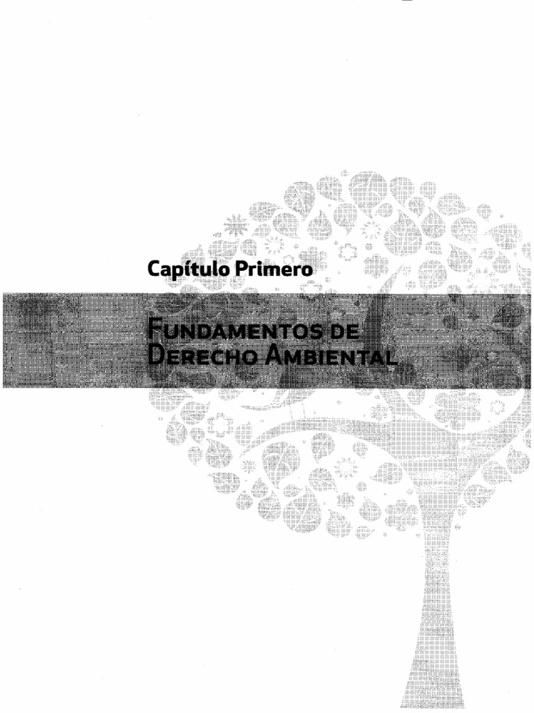 Leer Pag 24 A 38 Cap 1 LIbro Fundamento Derecho Ambiental J Bermudez, 2014. | PDF
