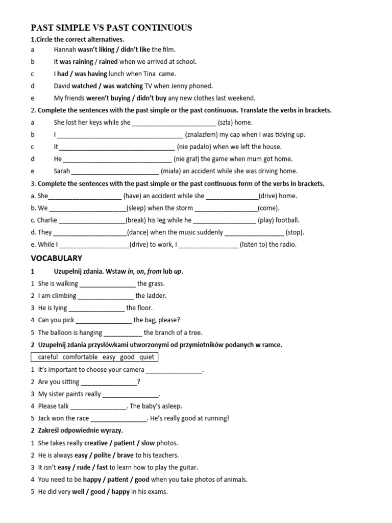 PAST SIMPLE VS PAST CONTINUOUS TEST | PDF