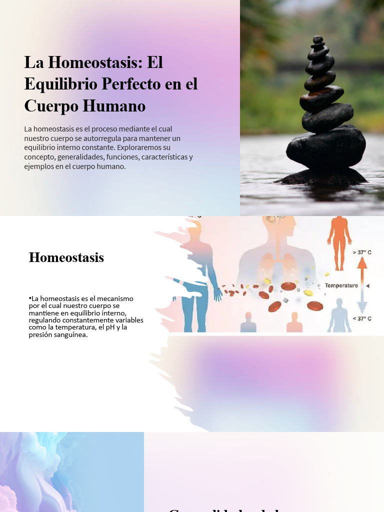 Homeostasis: Equilibrio Corporal Humano | PDF | Homeostasis | Fisiología