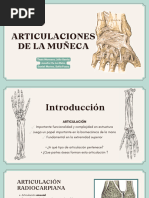 Articulación Radiocarpiana | PDF | Articulación | Extremidades (anatomía)