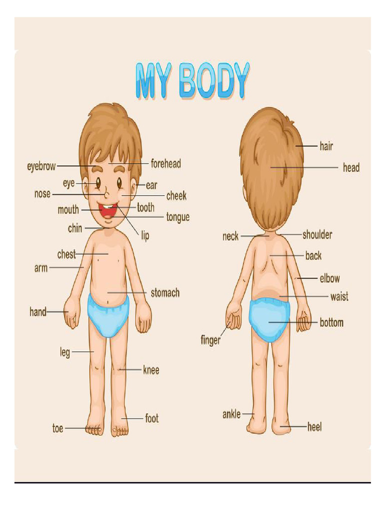 11-09-23 My Body | PDF