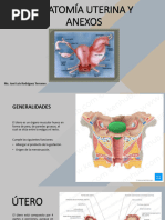 Partes de la Salpinge y Anatomía Asociada | PDF | Ovario | Pelvis