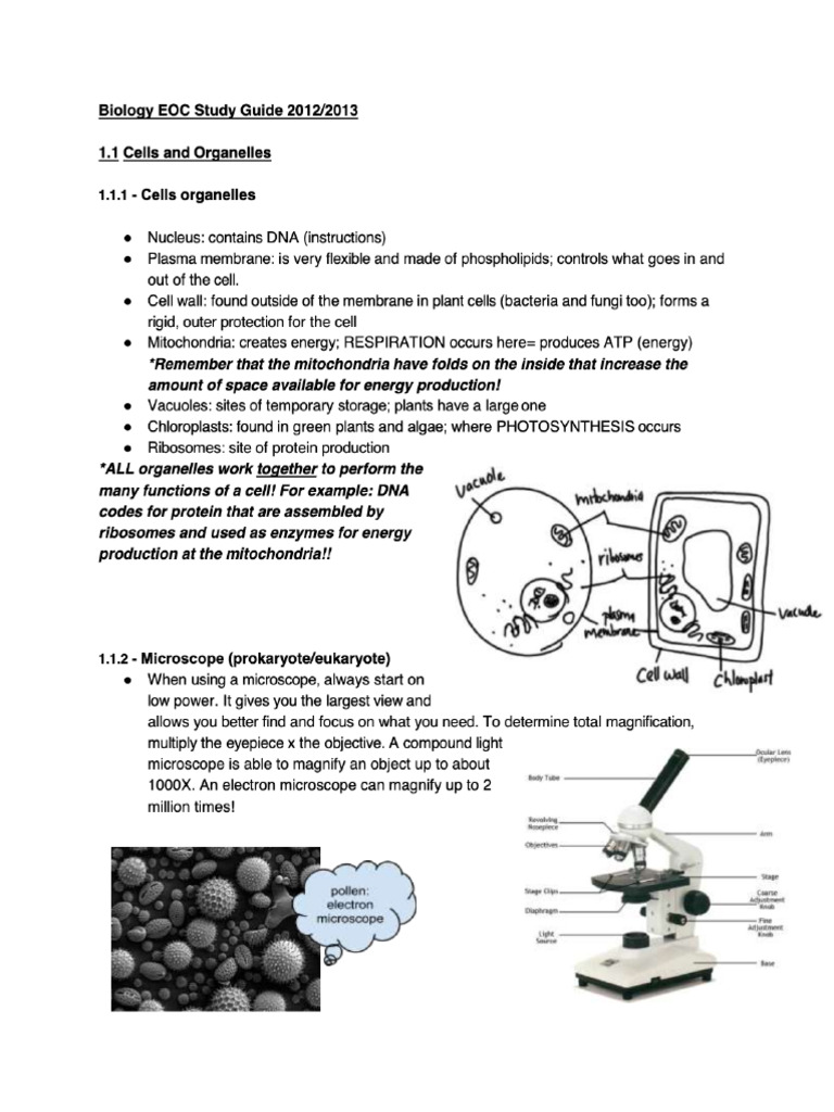 Biology Chapter 1 Study Guide | PDF Biology Chapter 1 Study Guide | PDF