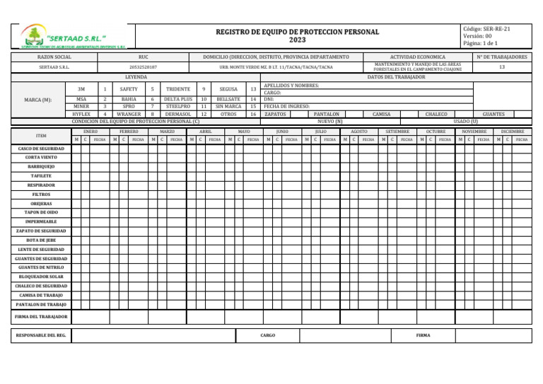 REGISTRO DE EQUIPO DE PROTECCION PERSONAL- EPPS | PDF