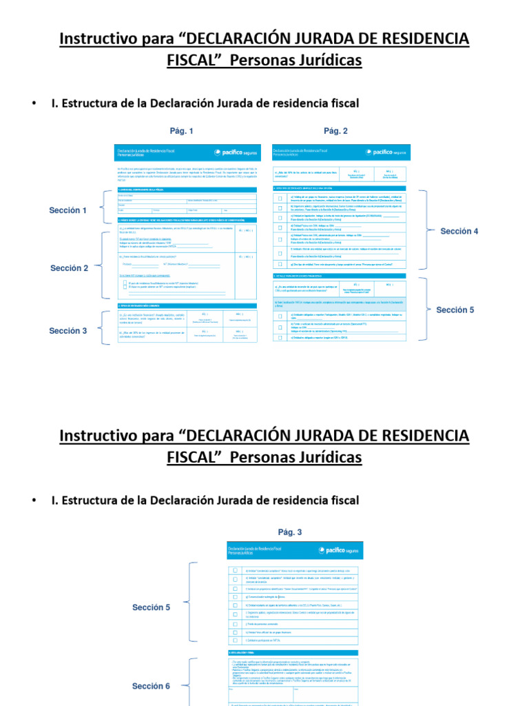 Instructivo CRS-PPJJ | Descargar gratis PDF | Gobierno | Justicia