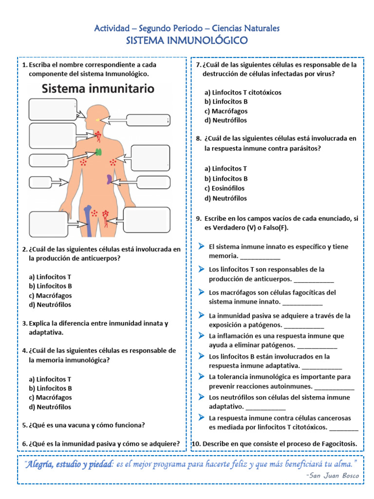 Actividad - Sistema Inmunológico | PDF | Sistema inmune | Linfocitos