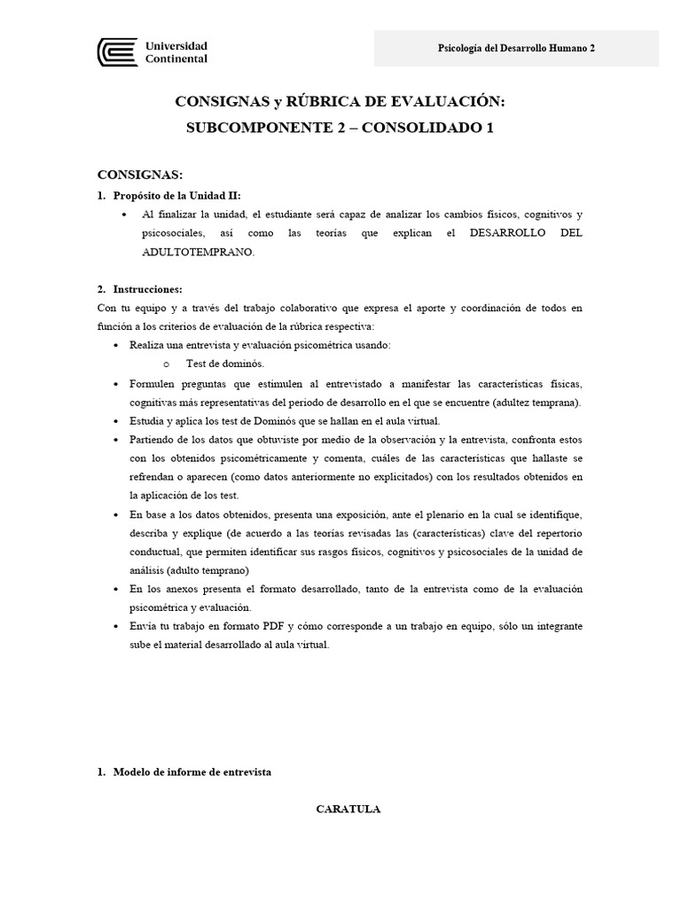 Consignas y Rubrica SC2 - C1-Ucci | PDF | Adultos | Sicología