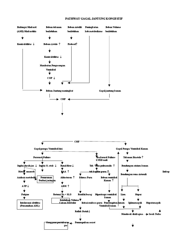 Pathway Gagal Jantung Kongestif | PDF