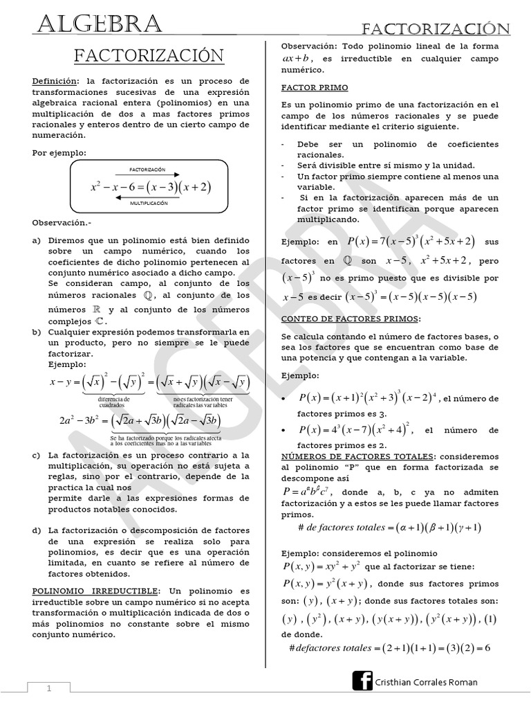 Algebra Factorizacion | PDF | Factorización | Campo (Matemáticas)