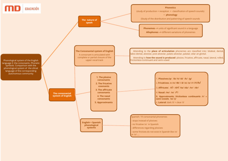 Topic 8 esquema | PDF | Consonant | Languages