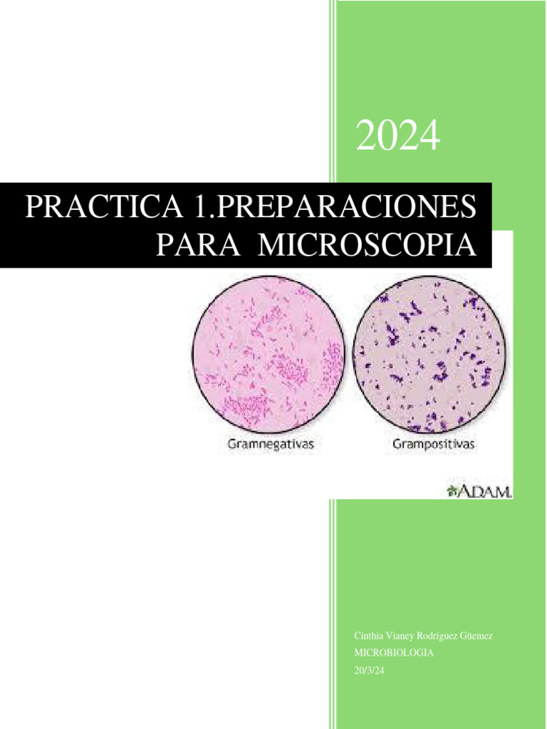 Practica 1 Preparaciones para Micros | PDF | Las bacterias | Tinción