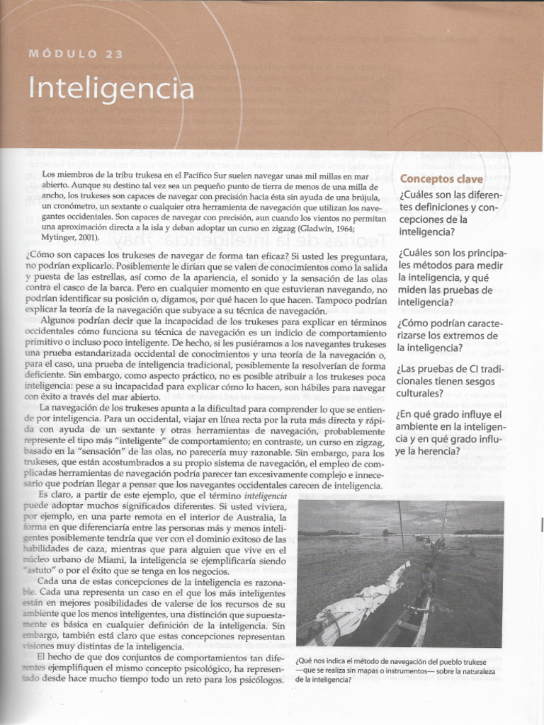 Capitulo Inteligencias | PDF