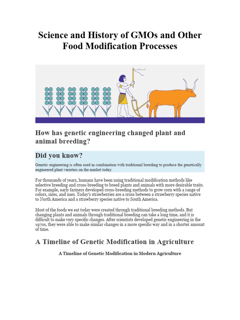 GMOs: Science, History, and Creation Process | PDF | Genetically ...