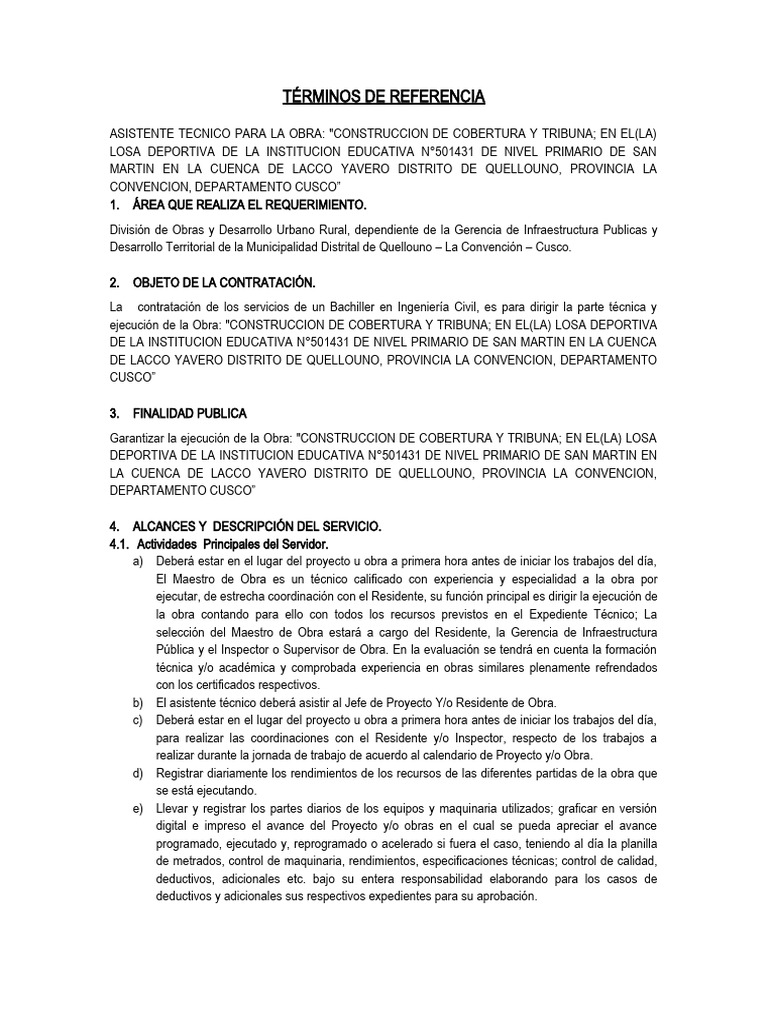 TDR Asistente Tecnico.2 | PDF | Gobierno