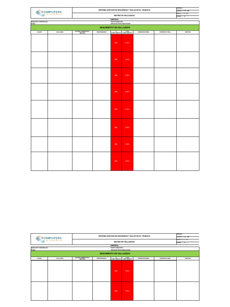 FT - CMP - 006 Formato Matriz de Hallazgos (Blanco) | PDF