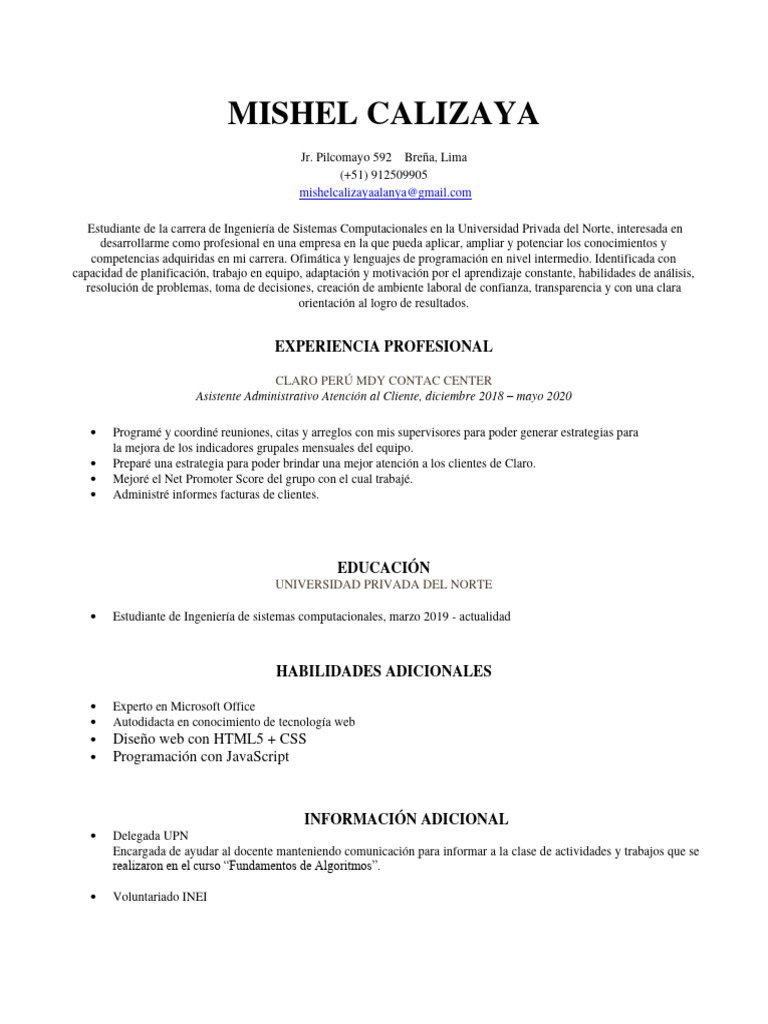 CV Mishel Calizaya Alanya | PDF | Informática