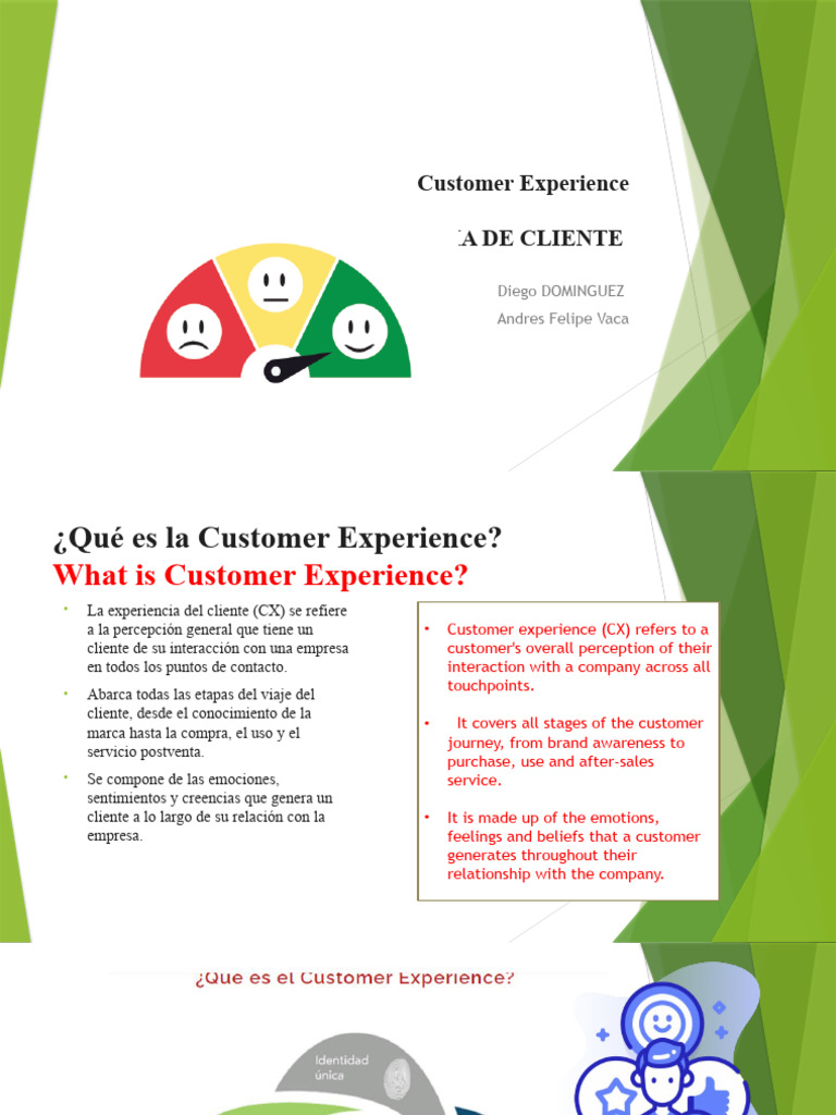 Customer Experience | PDF | Procesos de negocio | Gestión estratégica