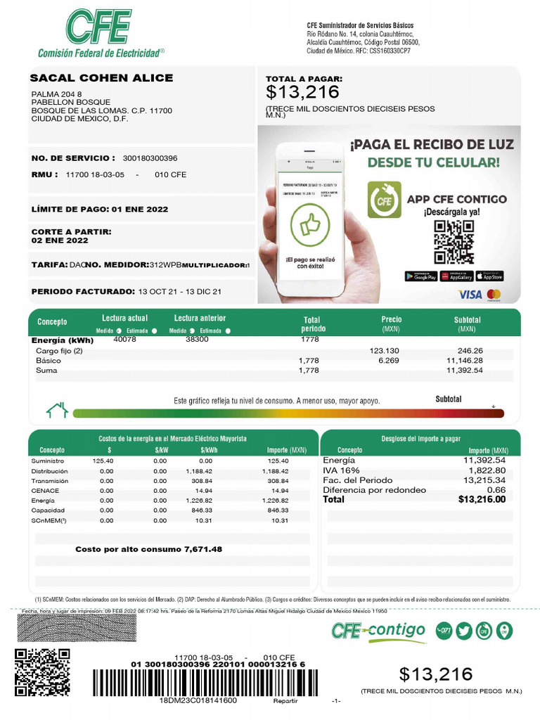 Sacal Cohen Alice: Total $13,216.00 | PDF | Naturaleza | Electricidad