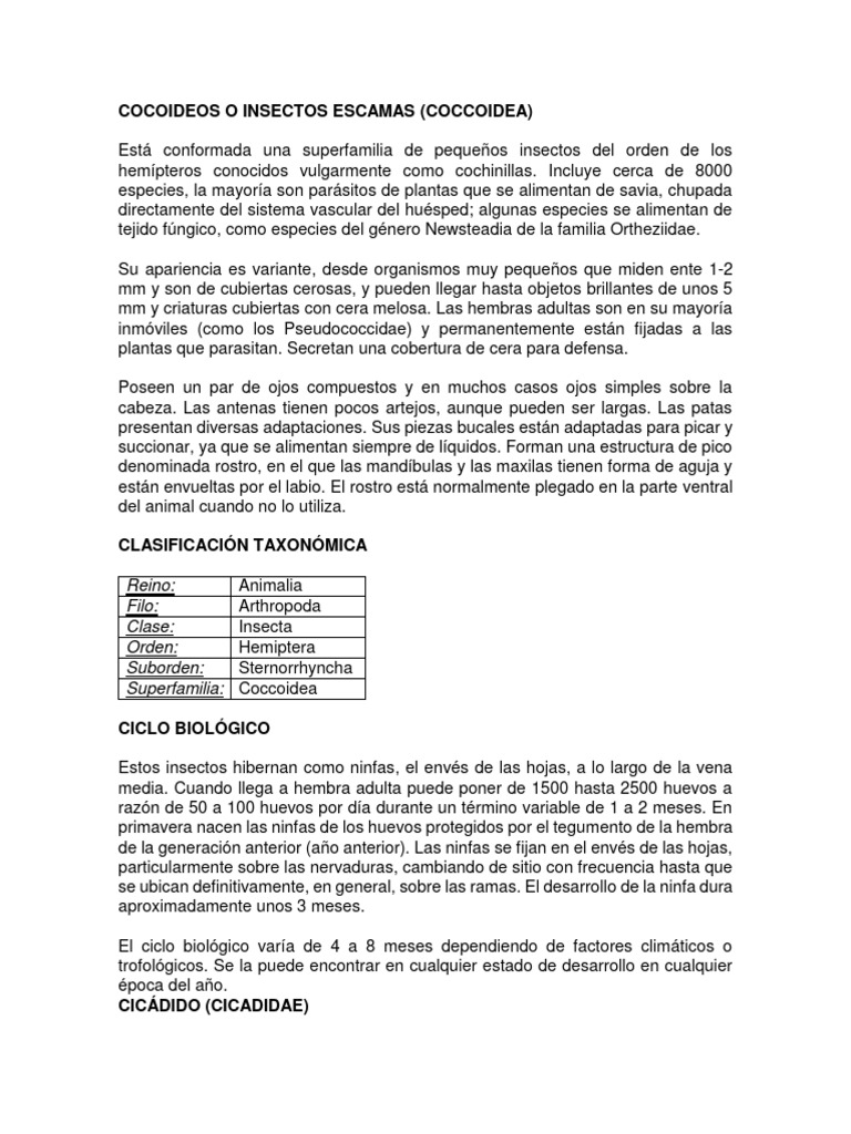 Cocoideos: Insectos Escamas en Puerto Rico | PDF | Insectos
