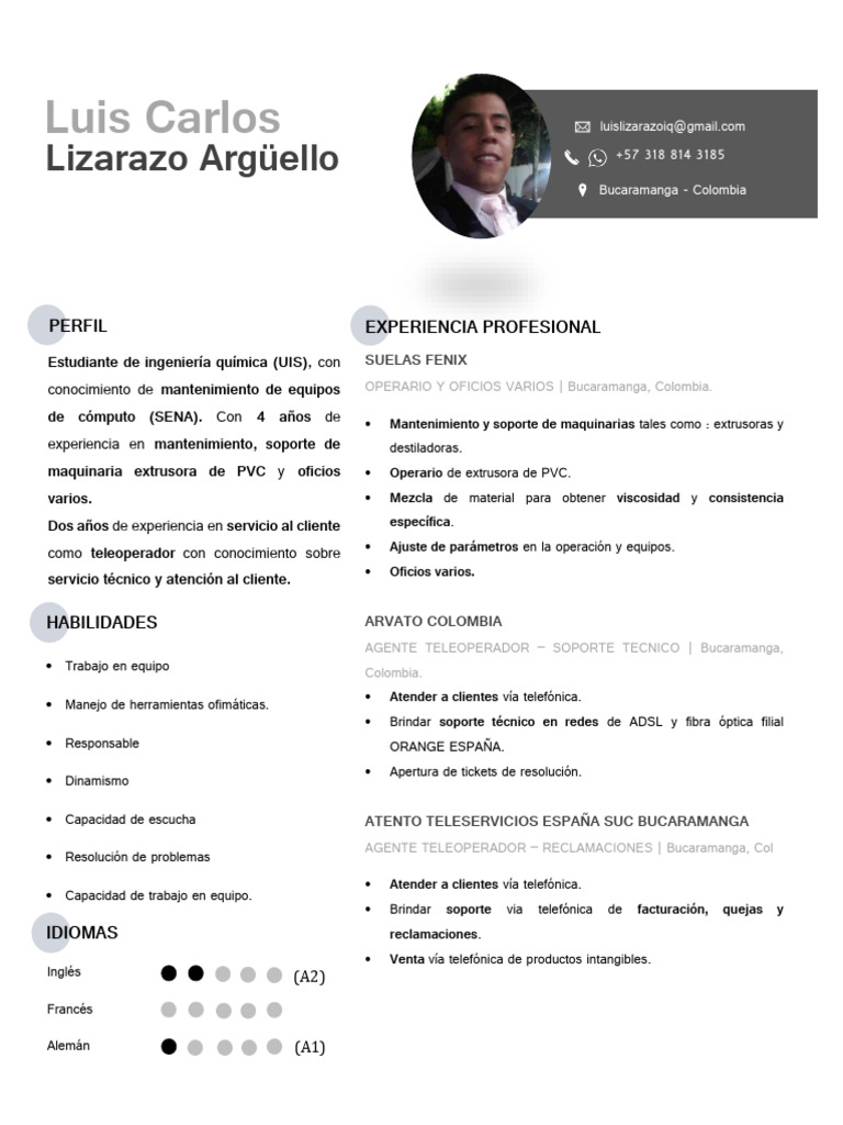 Hoja de Vida Luis 2022 | PDF | Ciencias de la Computación | Software de ...