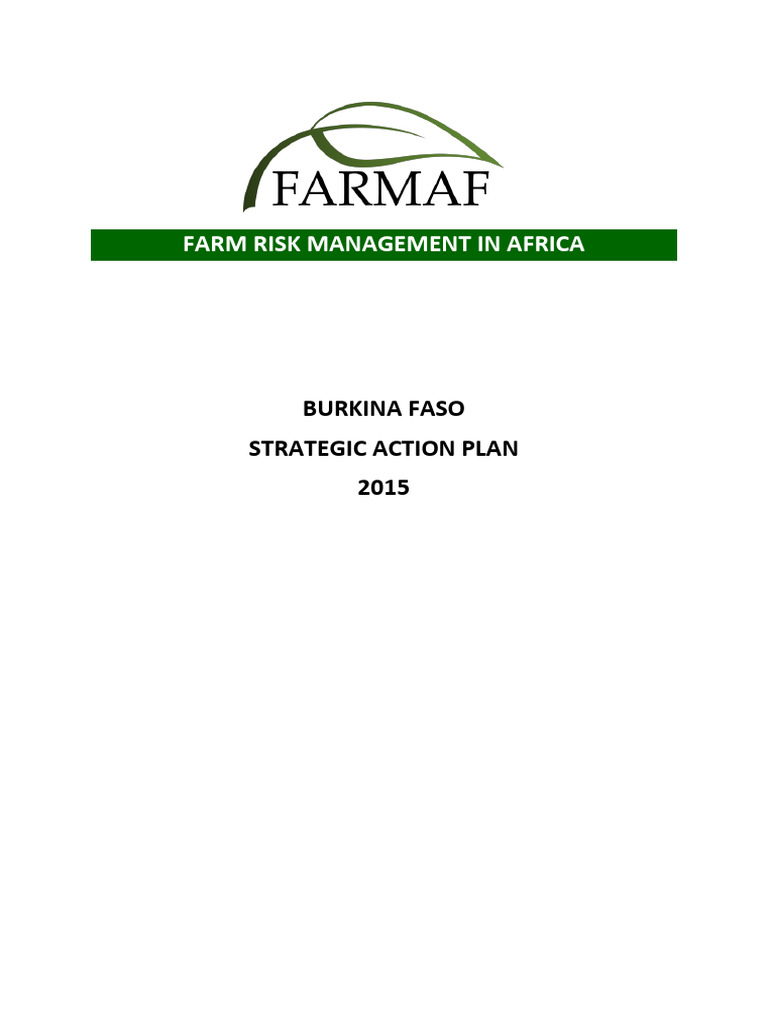 CPF Strategic Action Plan 2015 | PDF | Computing