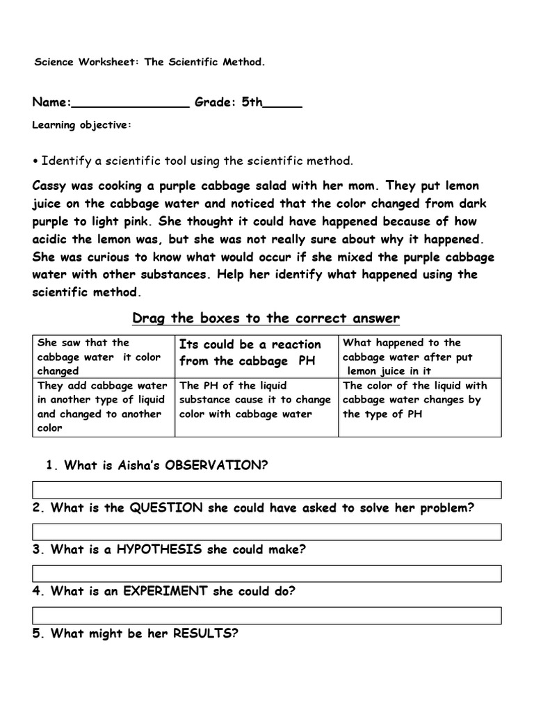 5th Grade Science: Scientific Method Worksheet | PDF