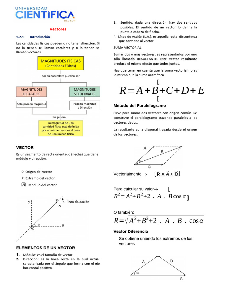 VECTORES | PDF | Vector Euclidiano | Física