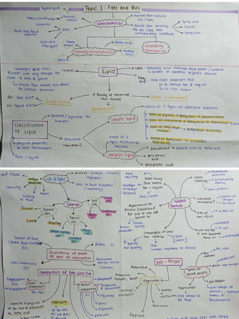 mindmap topic 1 oleochem | PDF