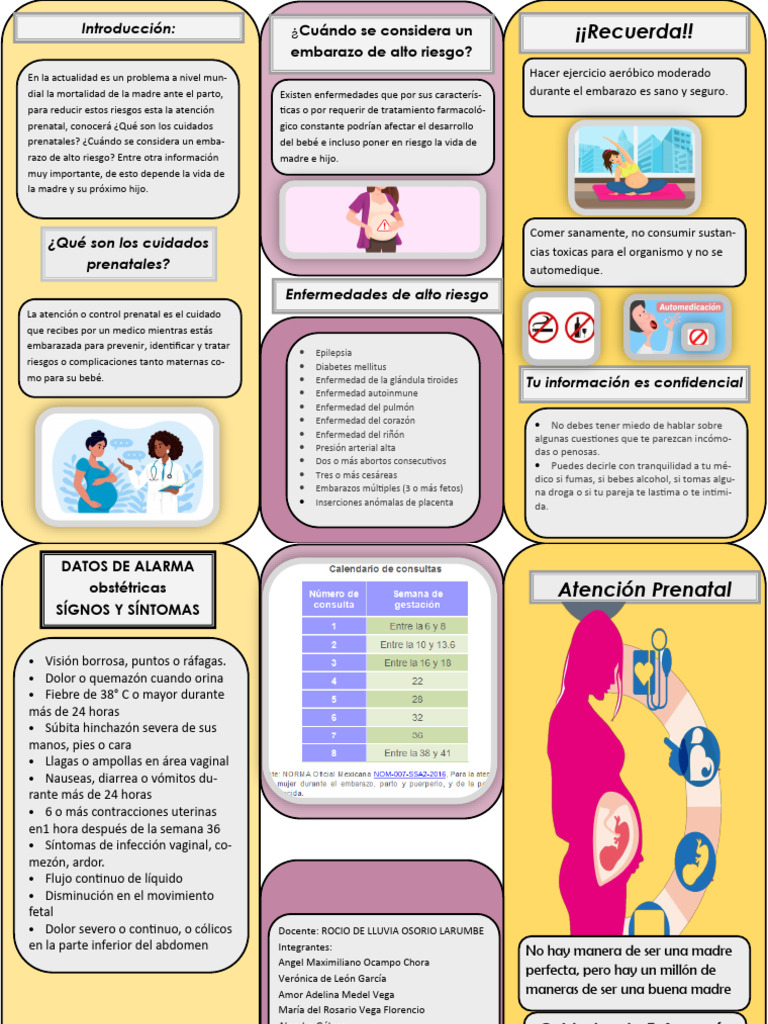 Tríptico de Atencion Prenatal | PDF | El embarazo | Parto