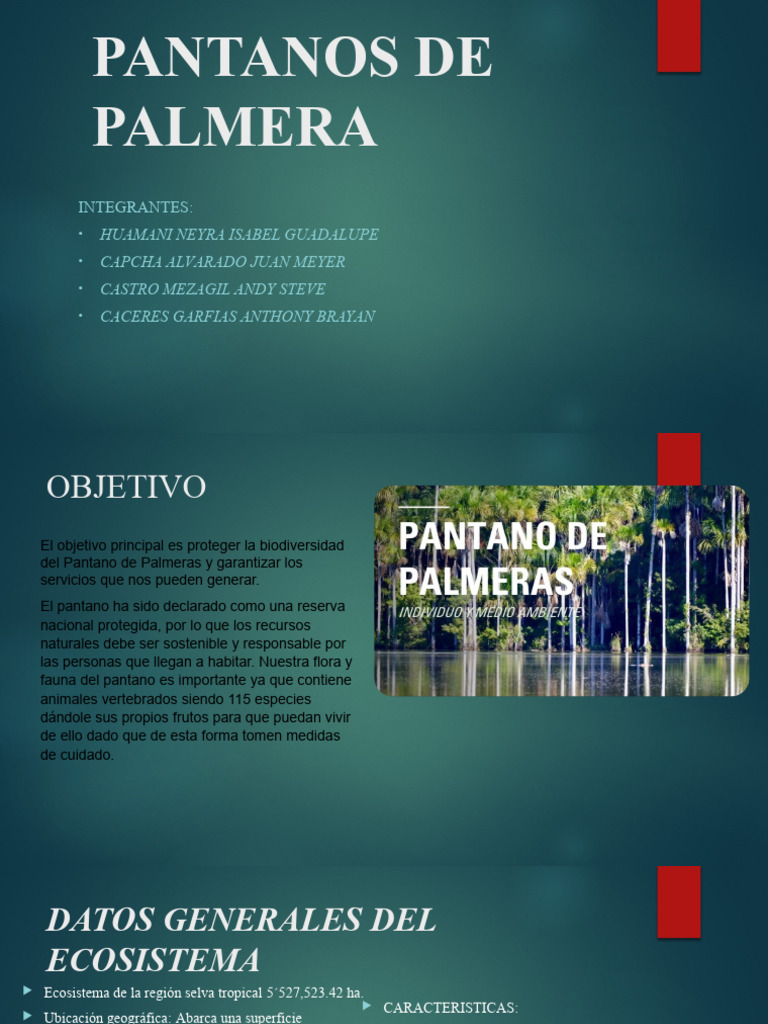 Biodiversidad del Pantano de Palmeras | PDF | Zona tropical | Ecosistema