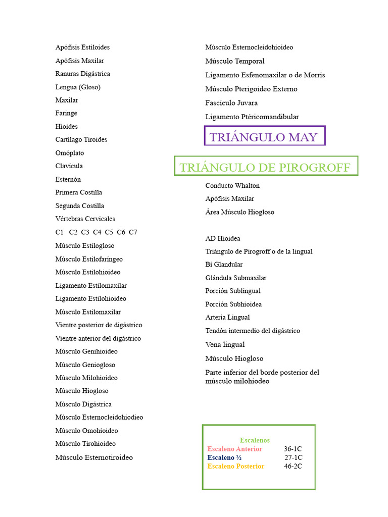 Apófisis Estiloides | PDF